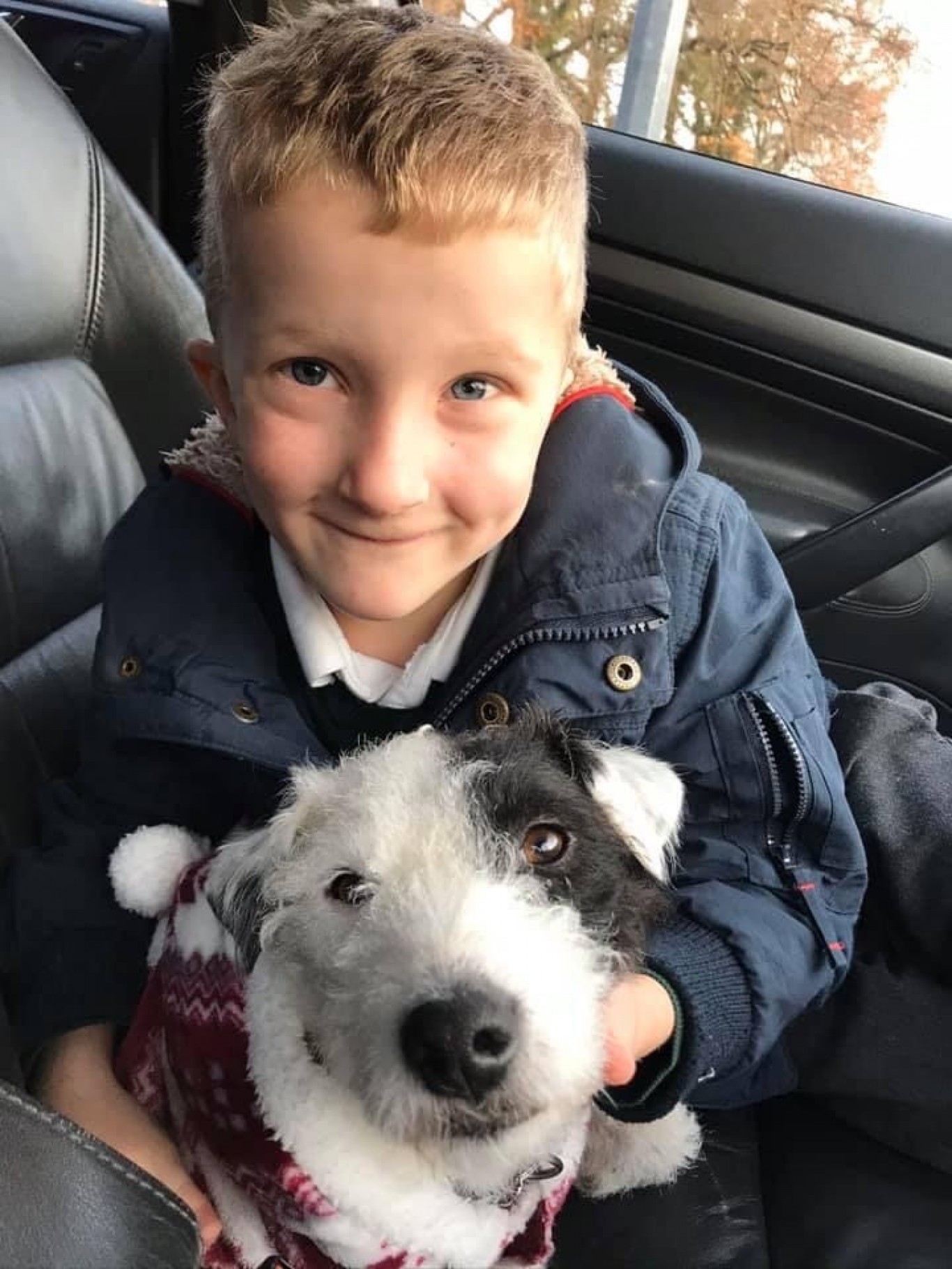 Frank Cheek - Alice's Arc