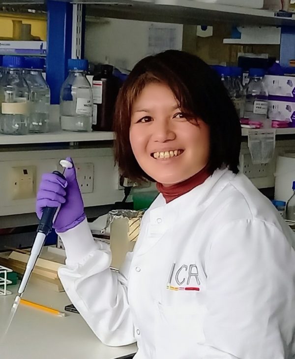 An interview with Stella Man - Alice's Arc